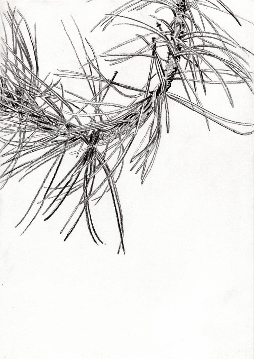 Xiaopeng Zhou